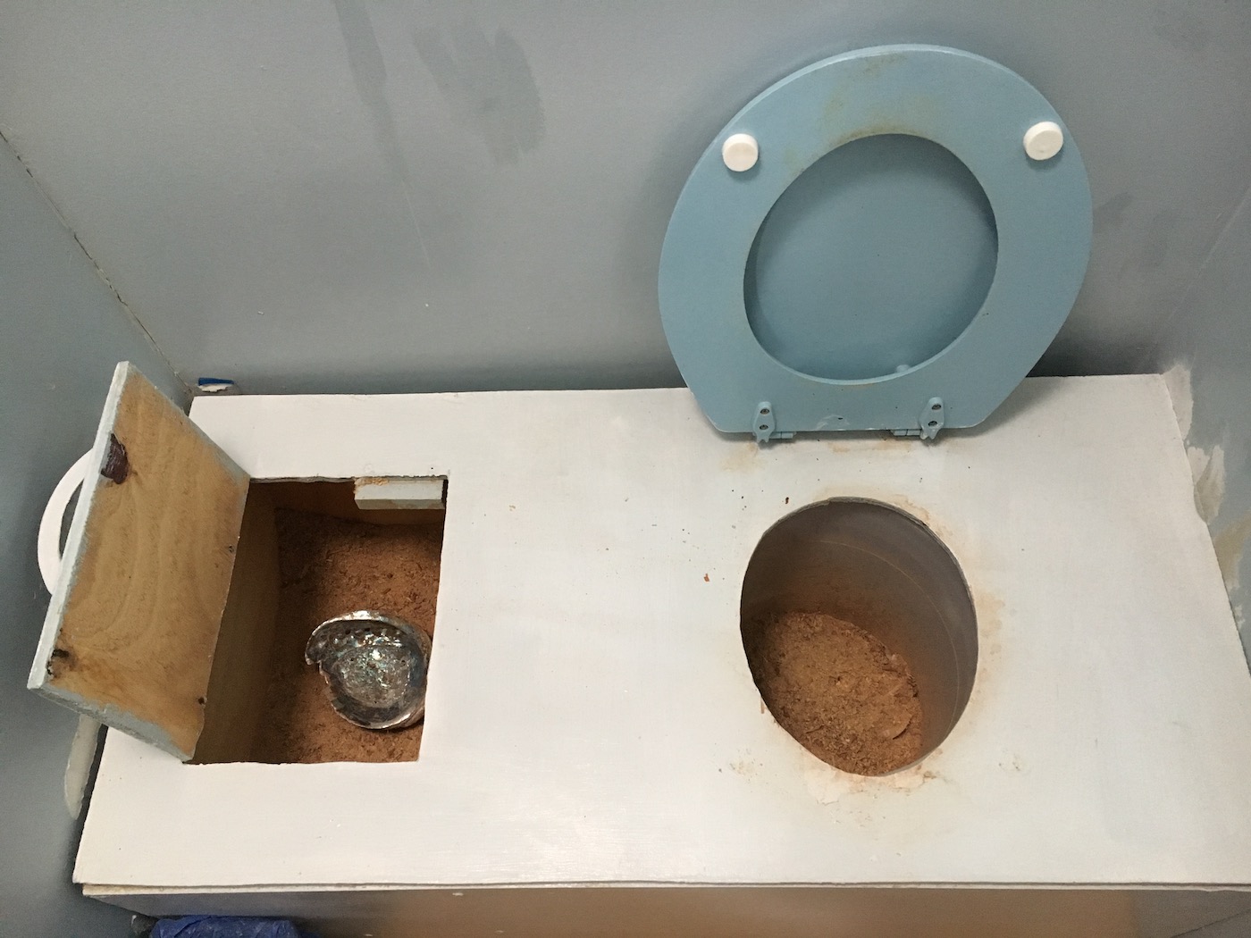 There’s A Place in Baja, Mexico Where You Can PET WHALES! – TRUE ...